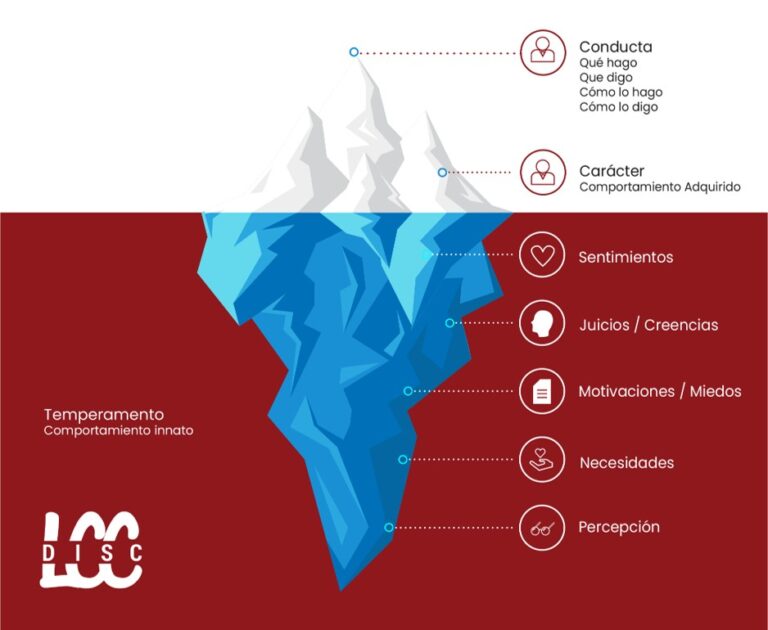 DISC, conoce qué es, en qué consiste y cómo se utiliza - LIT