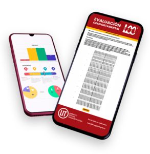 DISC, conoce qué es, en qué consiste y cómo se utiliza - LIT