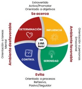 DISC, conoce qué es, en qué consiste y cómo se utiliza - LIT
