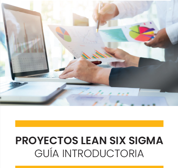 E-book LSS - LIT Liderazgo Integral Transformacional